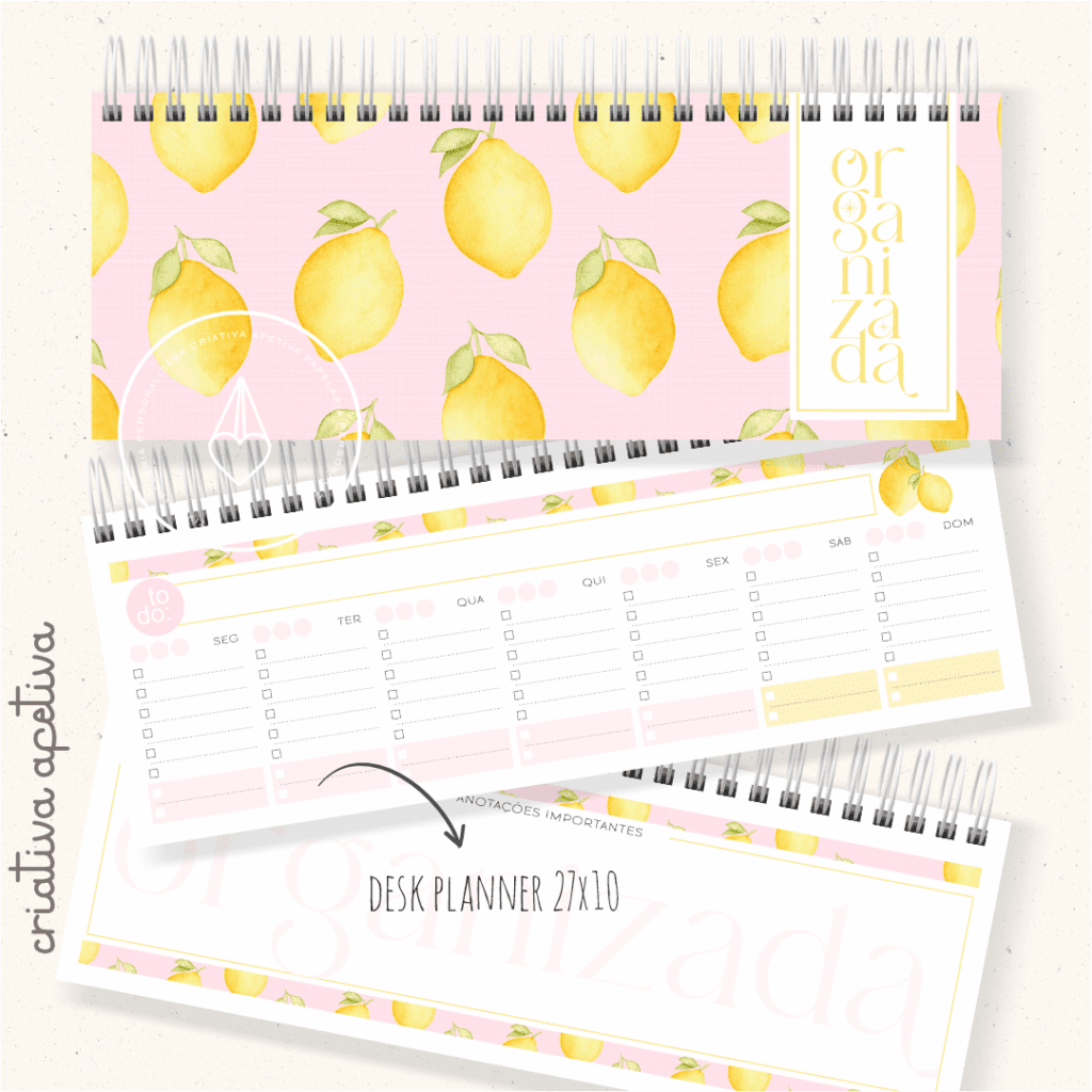 coleção organizada rosa – Criativa Afetiva